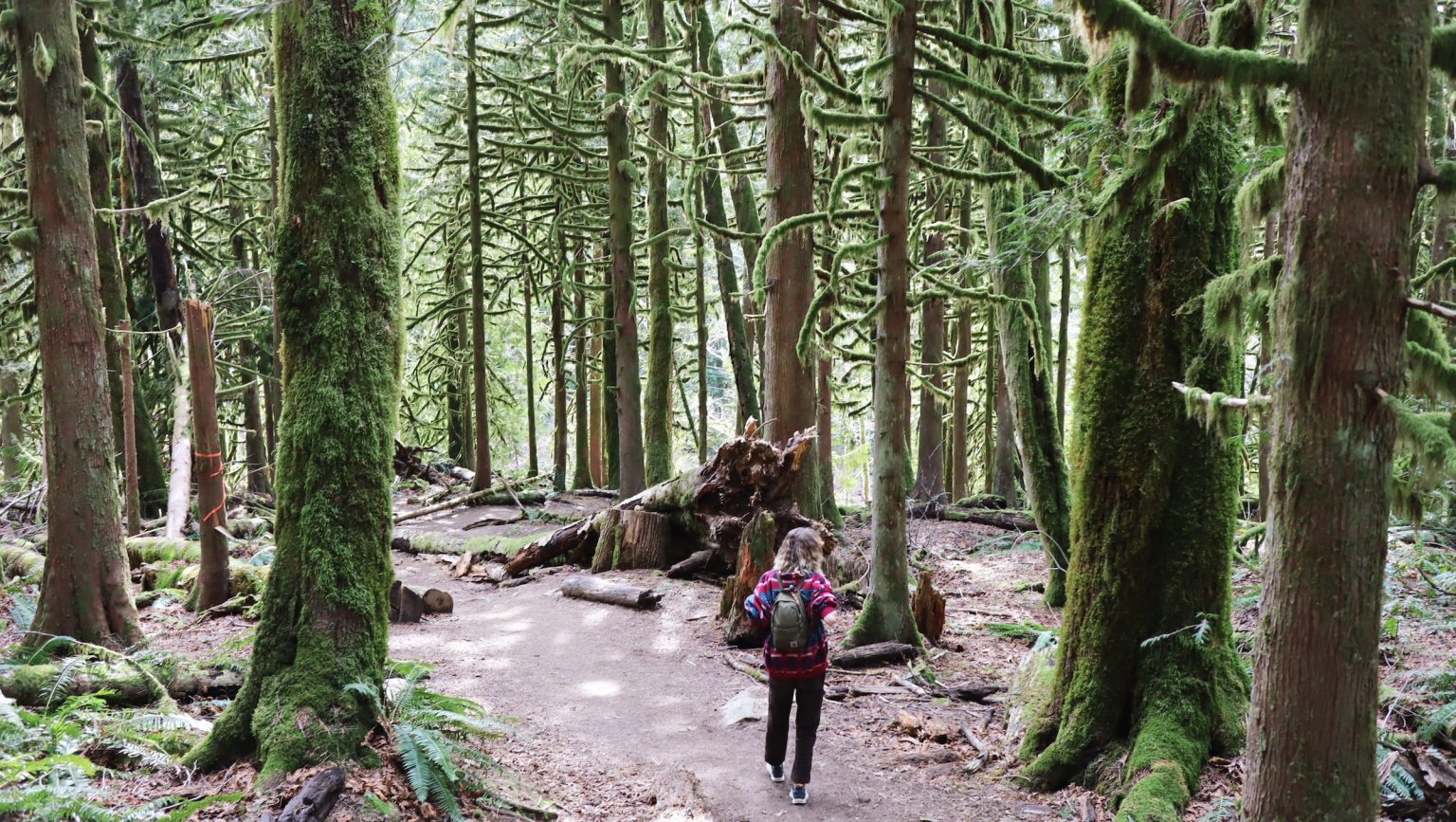 4 Easy + Pretty Hikes Near Seattle in the Spring